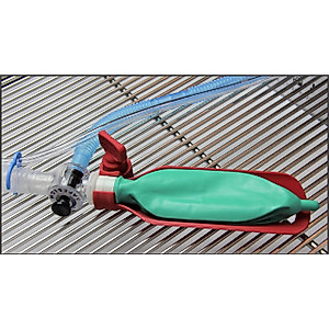 Veterinary Dental Table Mount for Non Rebreathing Circuits, Jackson Rees, SafeSigh, etc. (Royal Blue)