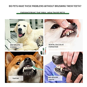windhunt A Series of Sets for Pets Tooth Protecting and Cleaning. Including Toothpaste,Toothbrush and Fingerbrush.Preventing Tartar Buildup and Plaque.Beef Flavor.(Large)