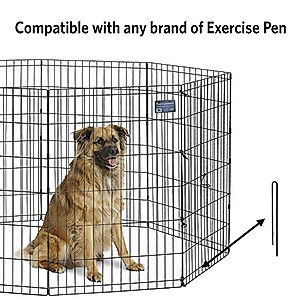 MidWest Homes for Pets Ground Stakes