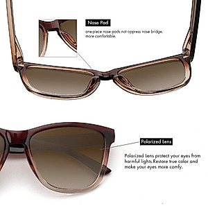 MEETSUN Polarized Sunglasses for Women Men Classic Retro Designer Style (Ombre Brown Frame/Gradient Lens, 54)