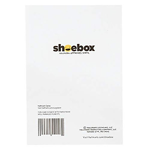 Hallmark Shoebox Funny Birthday Card Assortment (8 Cards with Envelopes) (2199RZG1003)