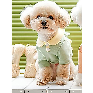 Milumia Pet T Shirt for Small Medium Dogs Puppy Outfits Bow Color Block Cat Clothes Green Medium