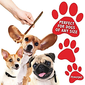 Powerpet 100% All Natural Beef Jerky Chips (6 Count) Treats