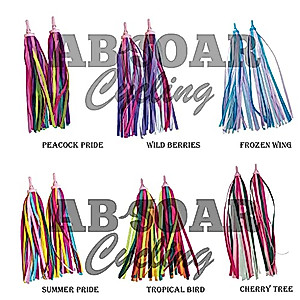 ABSOAR Cycling Colorful Bike Streamers Girls Boys Kids Bicycle Tassel Ribbon Handlebar Scooter Streamers 2 Pairs, Tropical Bird
