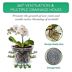 lanccona Orchid Pots- 2 Each of 4, 5, 6 and 7 inch- 8 Pots and Saucers, Orchid Pots with Holes and Clear Plastic Orchid Pots for Repotting