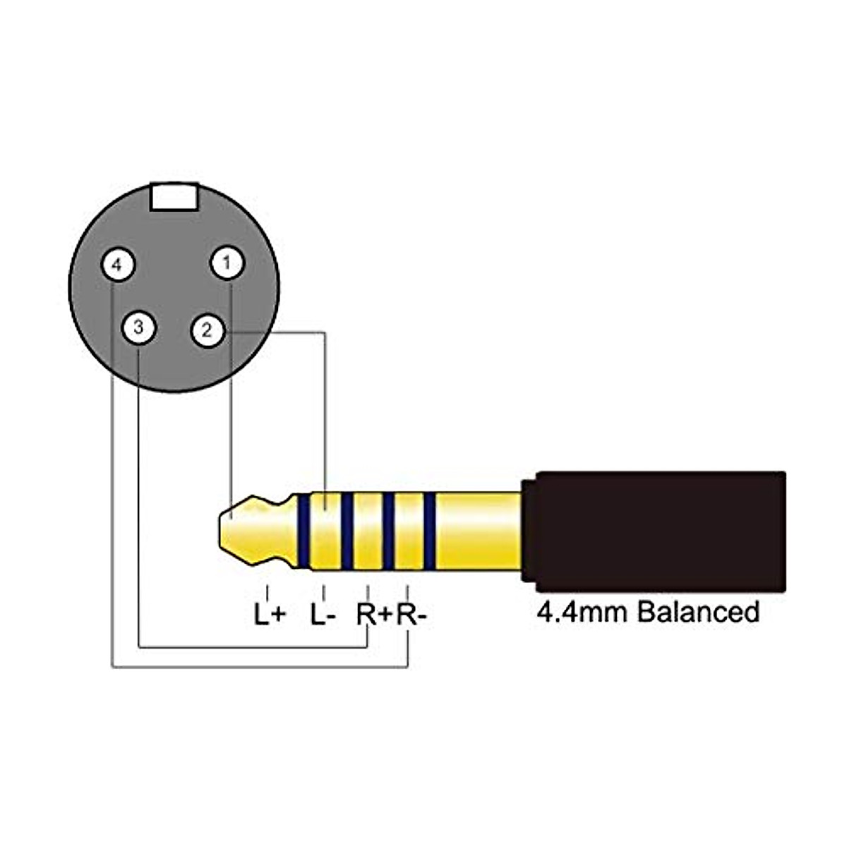 Youkamoo 4 Pin XLR to 4.4mm Female 5 Pole Balanced 8 Core Silver Plated Audio Headphone Adapter Cable 15cm [ 4.4mm Female ] Female to Male