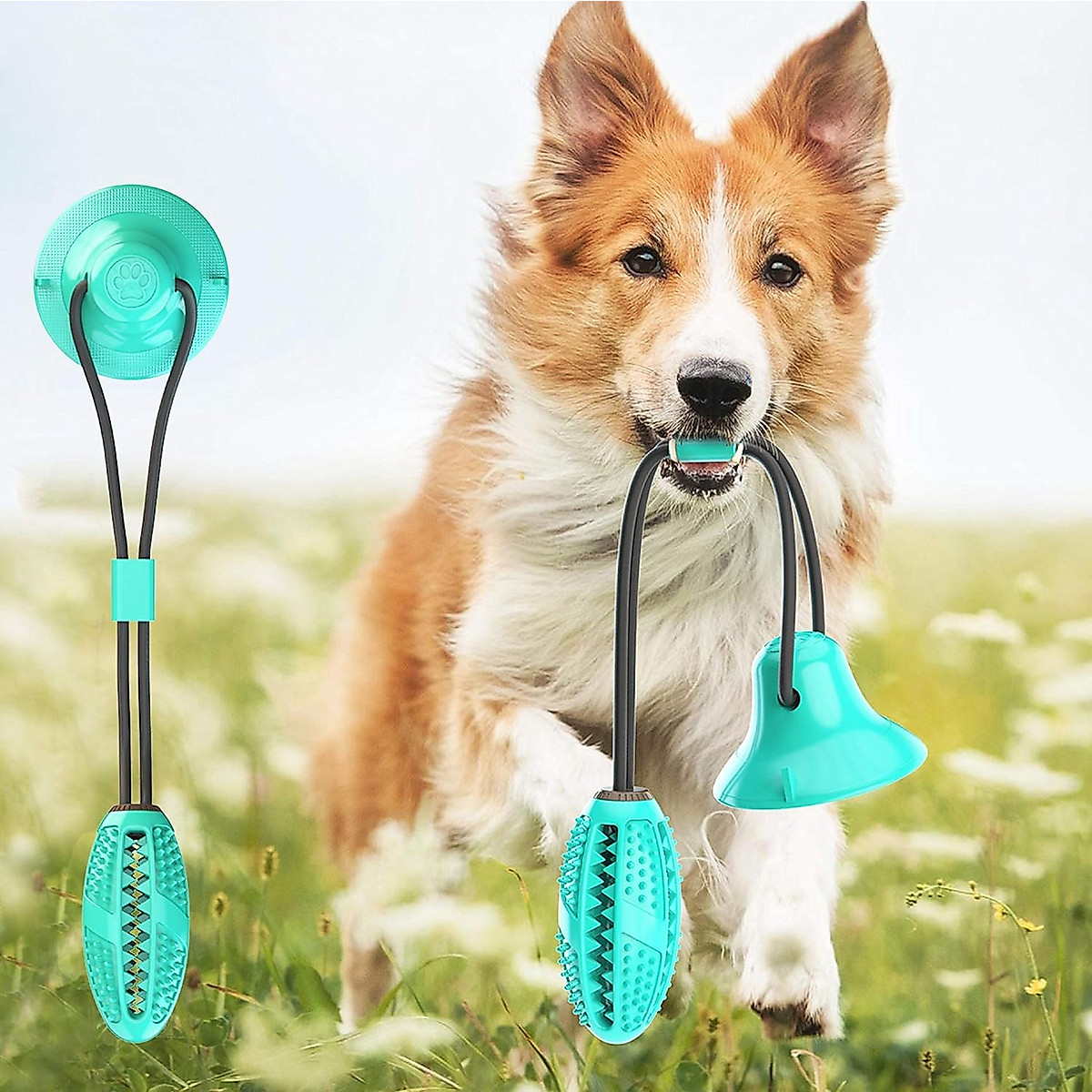 PrimePetPlay Suction Cup Dog Chew Toy - Bite Resistant and Durable - Perfect for Aggressive Chewers - Dental Health and Interactive Play, Sky Blue