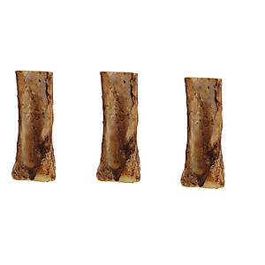 MPP All Natural Buffalo Meaty Femur Dog Bone 4 to 6 Inch Packs Healthy Dental Chews (5 Bones)