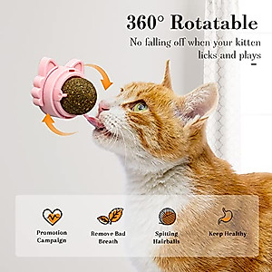 PODOO Catnip Toys for Cats, 3 Pack Edible Balls for Teeth Cleaning, Self-Adhesive and Rotatable Kitten Chew Toy, Safe and Healthy Wall Cat Toys