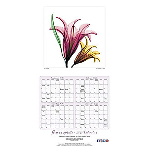 2021 Flower Spirits Radiographs of Nature by Steven N. Meyers 16-Month Wall Calendar