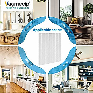Vagmecip 115115 Size 21 Replacement Filter A Compatible with Winix C535, Winix PlasmaWave 5300, 6300, 5300-2, 6300-2, P300 Plasma wave Air Purifier, True HEPA Filter - 3 Pack
