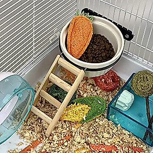 Hamster Chew Toys for Teeth Rabbit Loofah with 5 Shapes, Hamster Accessories as Guinea Pig Toys Chinchilla Toys Best Hamster Toys for Many Small Animals