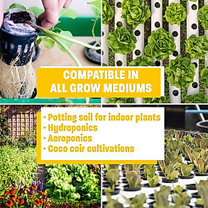 Humboldts Secret Golden Tree: Best Plant Food for Plants & Trees - All-in-One Concentrated Additive - Vegetables, Flowers, Fruits, Lawns, Roses, Tomatoes & More (8 Ounce)