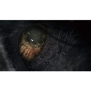 Bloodborne PS4 Game of the Year Edition