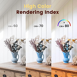 YAOHENG Vintage LED Edison Bulbs, Dimmable 60W Equivalent 800 lumens, 6W Daylight 5000K, 80+ CRI, ST58 Antique LED Filament Bulbs, E26 Medium Base, Clear Glass, Pack of 4