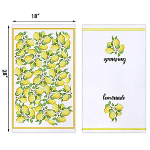 Watercolor Lemon Kitchen Dish Towel 18 x 28 Inch, Seasonal Spring Summer Lemonade Tea Towels Dish Cloth for Cooking Baking Set of 2