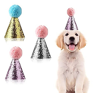 3pcs Dog Birthday Hat for Pets Party Decoration Supplies， Cat Kitten Headband Hats Charms Grooming Accessories