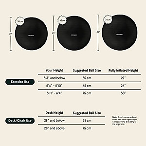 Retrospec Luna Exercise Ball - 55, 65, or 75cm Yoga Ball for Workouts, Stability, Pregnancy - Swish Balance Ball w/Pump for Office & Home Gym