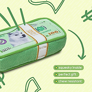 Pawty Dog Toys - Cash Money Dog Toy - Plush Cute Unique Parody Toy with Squeaker - Funny Birthday Gift Small Medium Dogs Premium Quality - Unique Design