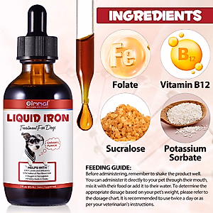 Iron Supplements for Dogs, Liquid Iron for Dogs with Folate and B12 Supports Anemia, Supplement for Anemia in Dogs, Promotes Blood Health 2 oz