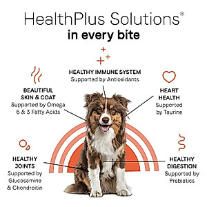 Canidae Under the Sun Premium Dry Dog Food For Puppies, Adults and Senior Dogs, Whitefish Recipe, 23.5 lbs, Grain Free