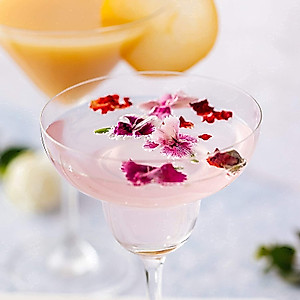 Season STORY Large Margarita glasses Set of 2-10oz, Cocktail glasses with stem, Crystal glassware for frozen margaritas, martini, mixing cocktails, gin and tonic glasses, gin glasses for gin lovers