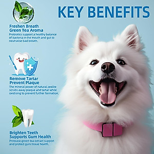 Himnum Dog Teeth Cleaning Powder,Dental Powder for Dogs Teeth Plaque and Tartar,Dog Oral Cleaning Powder with Probiotics,Fresh Breath,80g