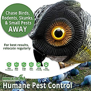 Bird-X Prowler Fake Owl Moving Wings-Realistic Bird Scare, Hawk, Pigeon, and Squirrel Repellent, Pest Deterrent Decoy Black Small