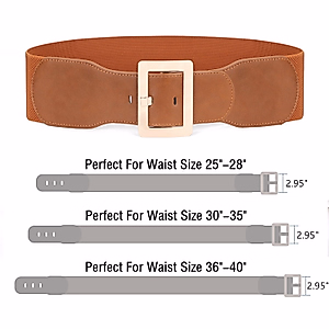 JASGOOD Women Dress Waist Belt Stretchy Elastic Vintage Belts for Dress Santa Belt with Metal Buckle