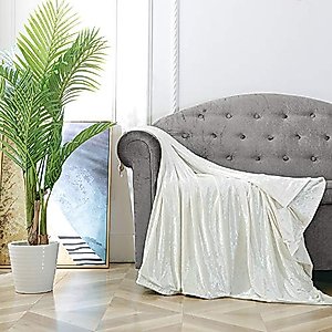 BOURINA Throw Blanket Shiny Decorative Ice Crushed Velvet Throw for Sofa Bed Polyester,50"×60" White