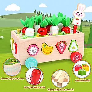 Montessori Toys for 1 2 3 Year Old Boy Girl Carrot Harvest Game Wooden Toy Preschool Educational Learning Toy Shape Sorter Toys Xmas Gifts for 1 2 3 year old Boy Girl Fine Motor Skill Game Toddler Toy