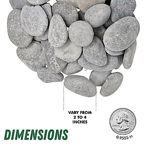 PGN 40 Large River Rocks for Painting - Stimulate Your Children’s Creativity with Our Painting Rocks for Kids - Flat and Smooth - Fun & Engaging Rock Painting with The Family - 2-4 Inches