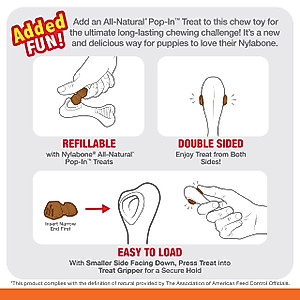 Nylabone Chew & Treat Toy for Dogs - Interactive Dog Enrichment Chew & Treat Toys