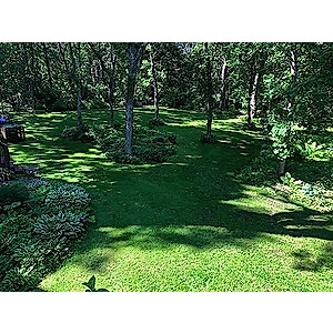 Microlawn Grass Seed & Microclover Mixture