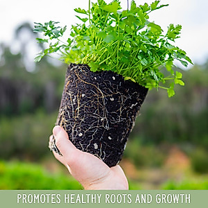 Horticultural Perlite Soil Additive (4 Quarts); for Enhanced Potting Mix Drainage and Growth