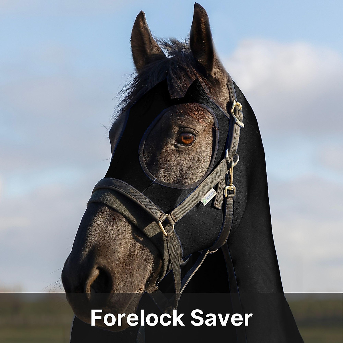 RESISTANCE Premium Horse Sleazy Full Body Slicker with Zipper Face & Forelock Saver Horse Care Sheet