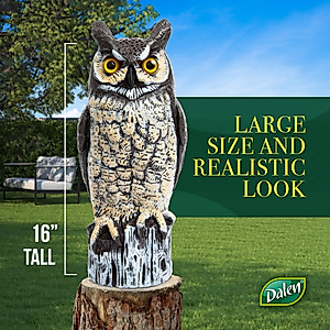 Dalen Large Fake Owl Decoy to Scare Birds Away - Garden Scarecrow Provides Natural Pest Control - 16" Tall - Great Horned Owl