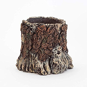 Bits and Pieces - Tree Face Garden Planter - Durable Polynesian Indoor-Outdoor Urn for Plants - Forest Inspired Whimsical Garden Décor