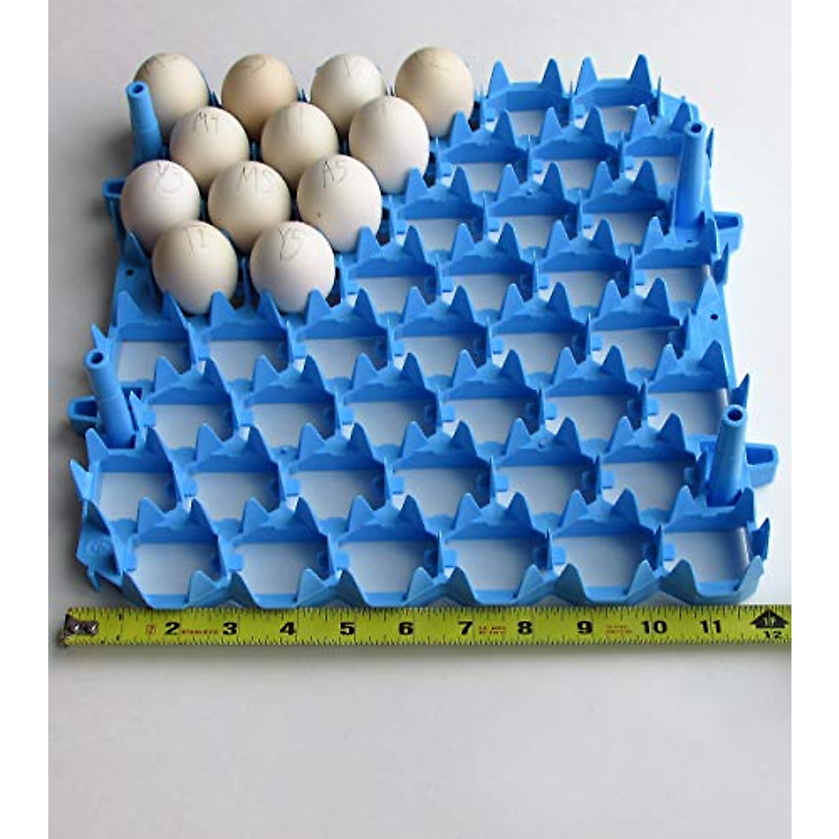 Universal Chicken Egg Trays (6 pack)