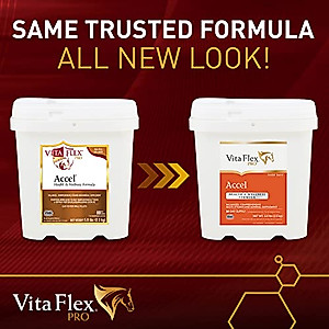 Vita Flex Accel Health and Wellness Formula, 80 Day Supply, 5 lbs