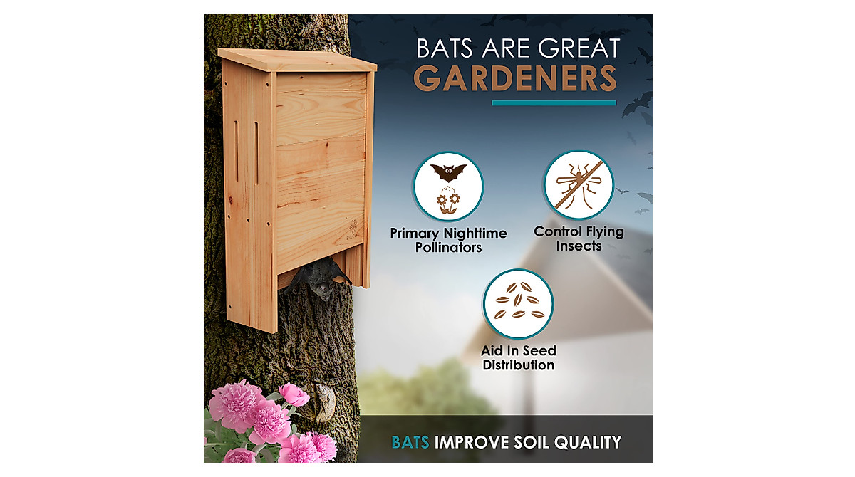 Bat Houses for Outdoors with Improved Airflow to Both Chambers - Bat ...