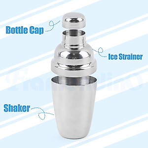 Framendino, 8 OZ Cocktail Shaker Martini Shakers Mixed Shaker Set Stainless Steel Drink Shaker Small Bar Shaker Tools Professional