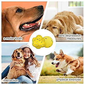 Calming Balls for Dogs, 2024 New Mellow Dog Calming Ball, Durable Chew Toys Tennis Ball Interactive Chewing Toys Calming Ball for Large Dog Medium Dog and Puppies (Round+Irregular)