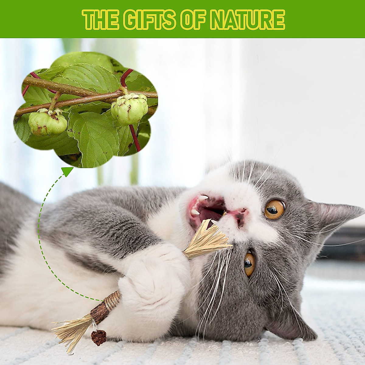 BAWAN Catnip Toys‖ Silvervine for Cats: Cute Cat & Kitten Toys for Indoor Cats Interactive‖ Cat & Kitten Teething Chew Toys for Aggressive Chewers‖ Silvervine Sticks Cat Dental Toy (5PCS)