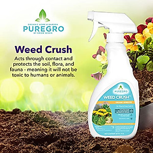 PureGro Weed Crush Ready-to-Use | Organic Herbicide | Pet and Kid Friendly | Fast Acting | Non-Synthetic, All Natural |