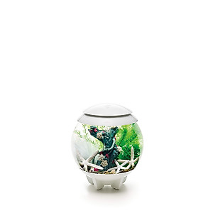 BiOrb Decor Set – 15L Flower Garden