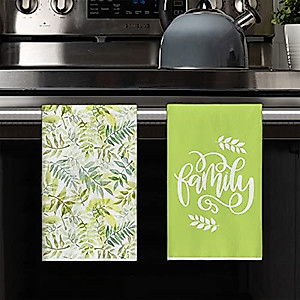 Artoid Mode Green Leaves Eucalyptus Spring Kitchen Towels Dish Towels, 18x26 Inch Seasonal Summer Family Holiday Decoration Hand Towels Set of 2