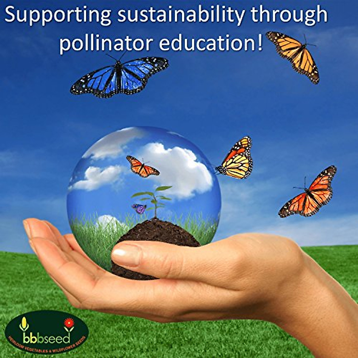 Partial Shade Wildflower Seeds Bulk - Open-Pollinated Wildflower Seed Mix Packet, No Fillers, Annual, Perennial Wildflower Seeds Year Round Planting - 1 oz