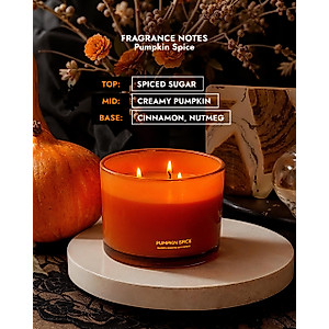96NORTH Luxury Pumpkin Soy Candle | Large 3 Wick Jar Candle | Halloween & Fall Decor | Up to 40 Hours Burning | 100% Natural Soy Wax | Relaxing Aromatherapy Candle | Halloween Fall Candle Gift