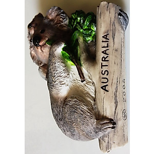 WitnyStore Tiny Koala Mom and Baby Australian Animals Australia and Oceania Tourist Attractions Resin Refrigerator Magnet Traveler Souvenir Gift Memento 3D Fridge Magnets